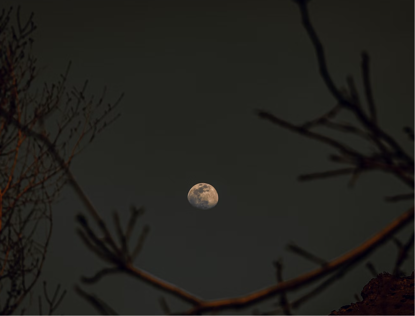 Rind Of Moon, By: James Roderick Burns - Poetry Catalog