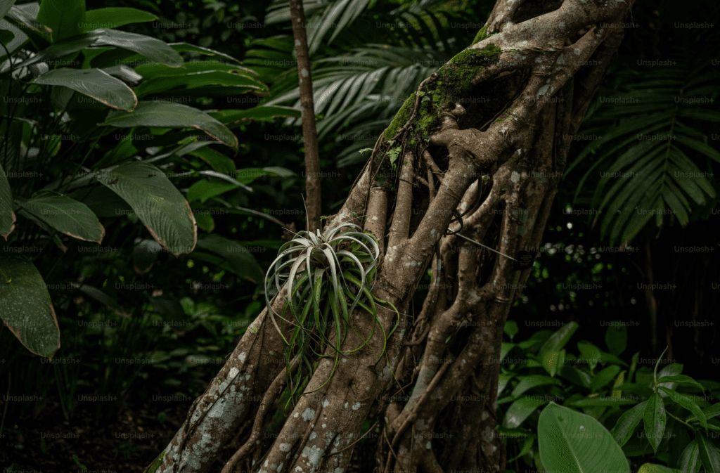 Ecclesiastical Sonnets - Part II. - X - Where Long And Deeply Hath Been ...