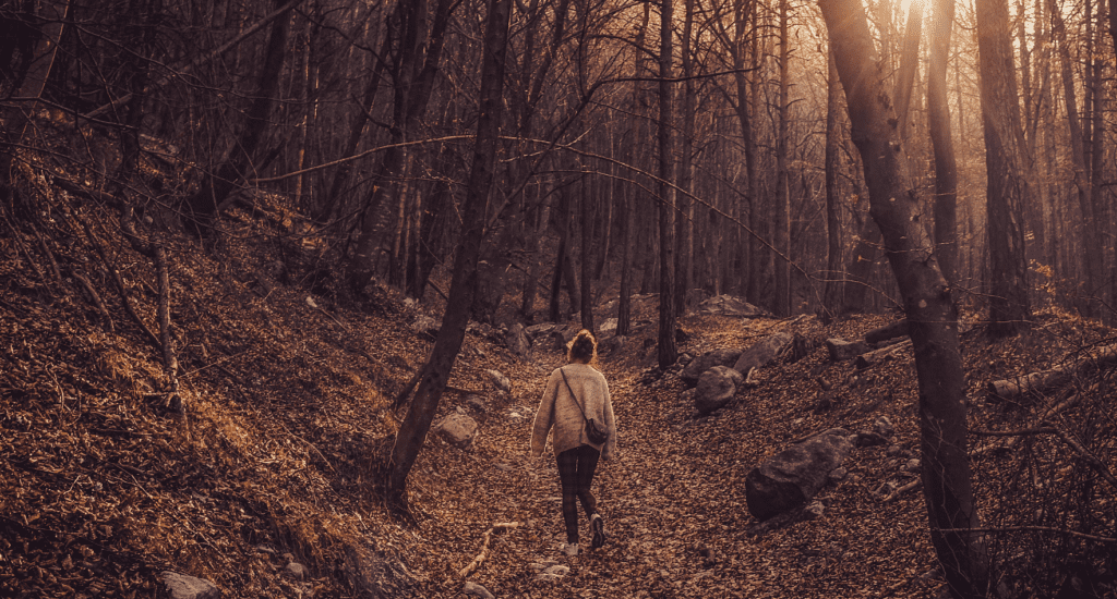 I Could Stay Lost, By: Mary Bone - Poetry Catalog