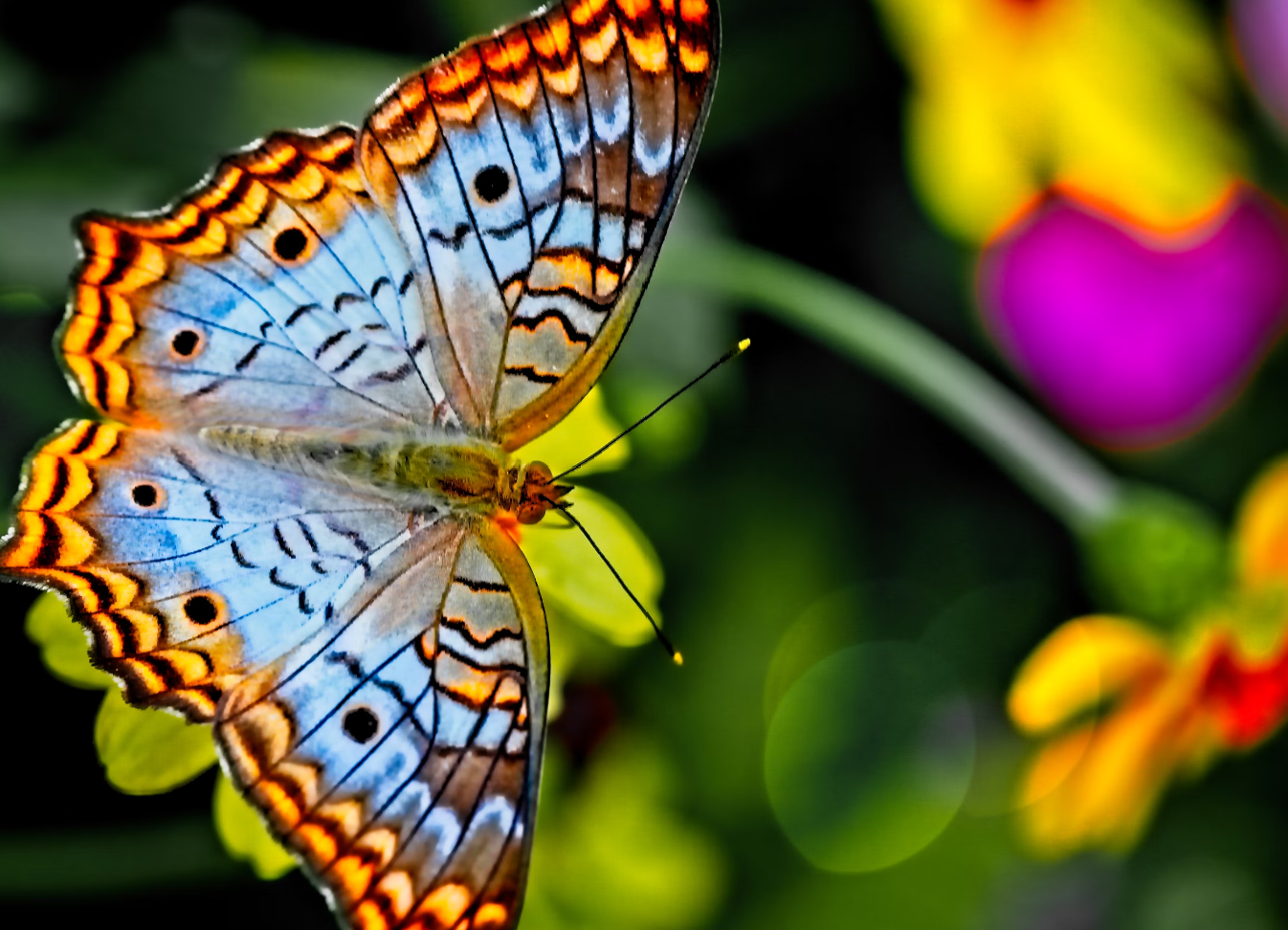 The Longing, The Pindaric Ode, By: Pawel Markiewicz - Poetry Catalog