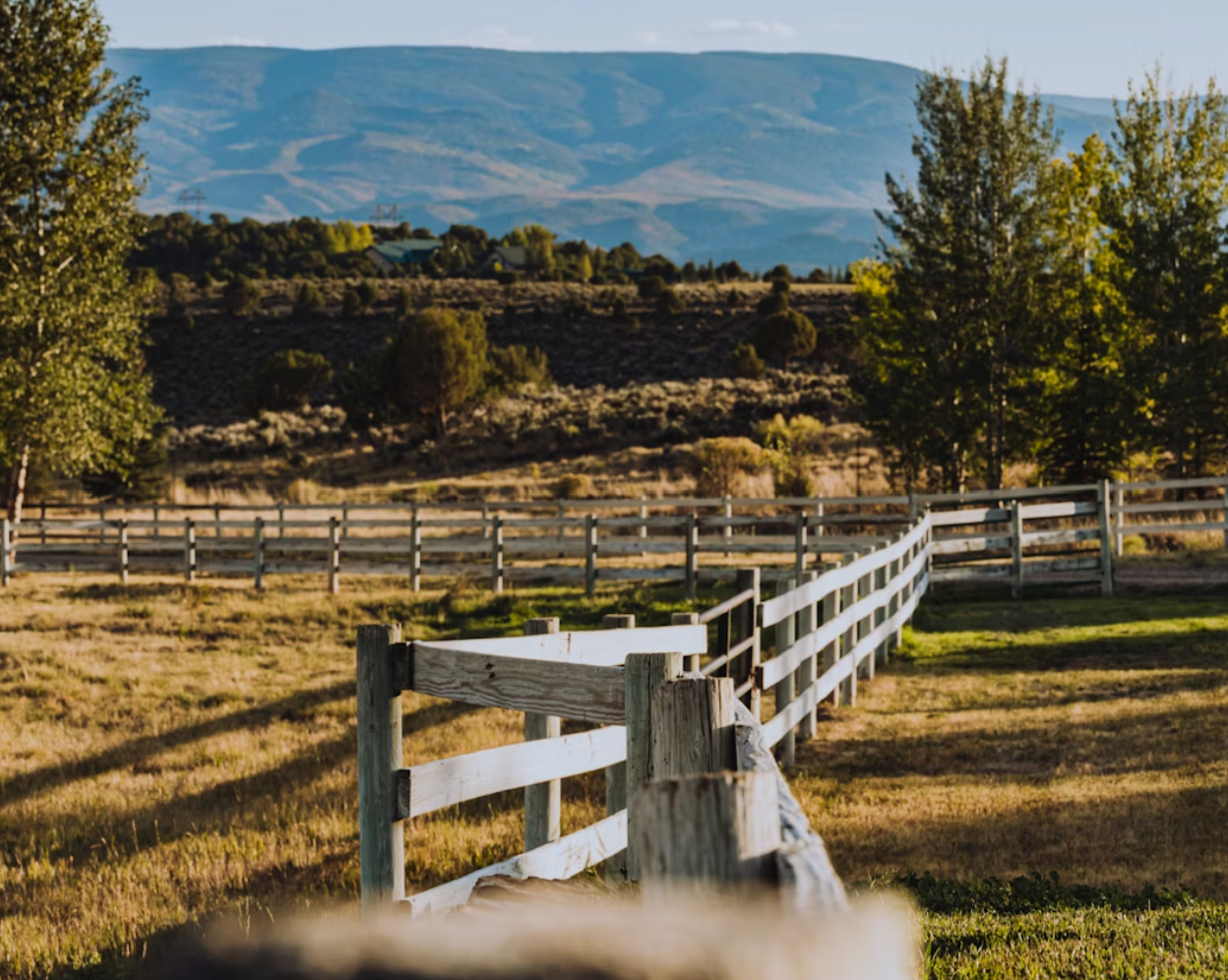 The Battle For Rainey-Crick Ranch, By: Patrick Davis - Poetry Catalog